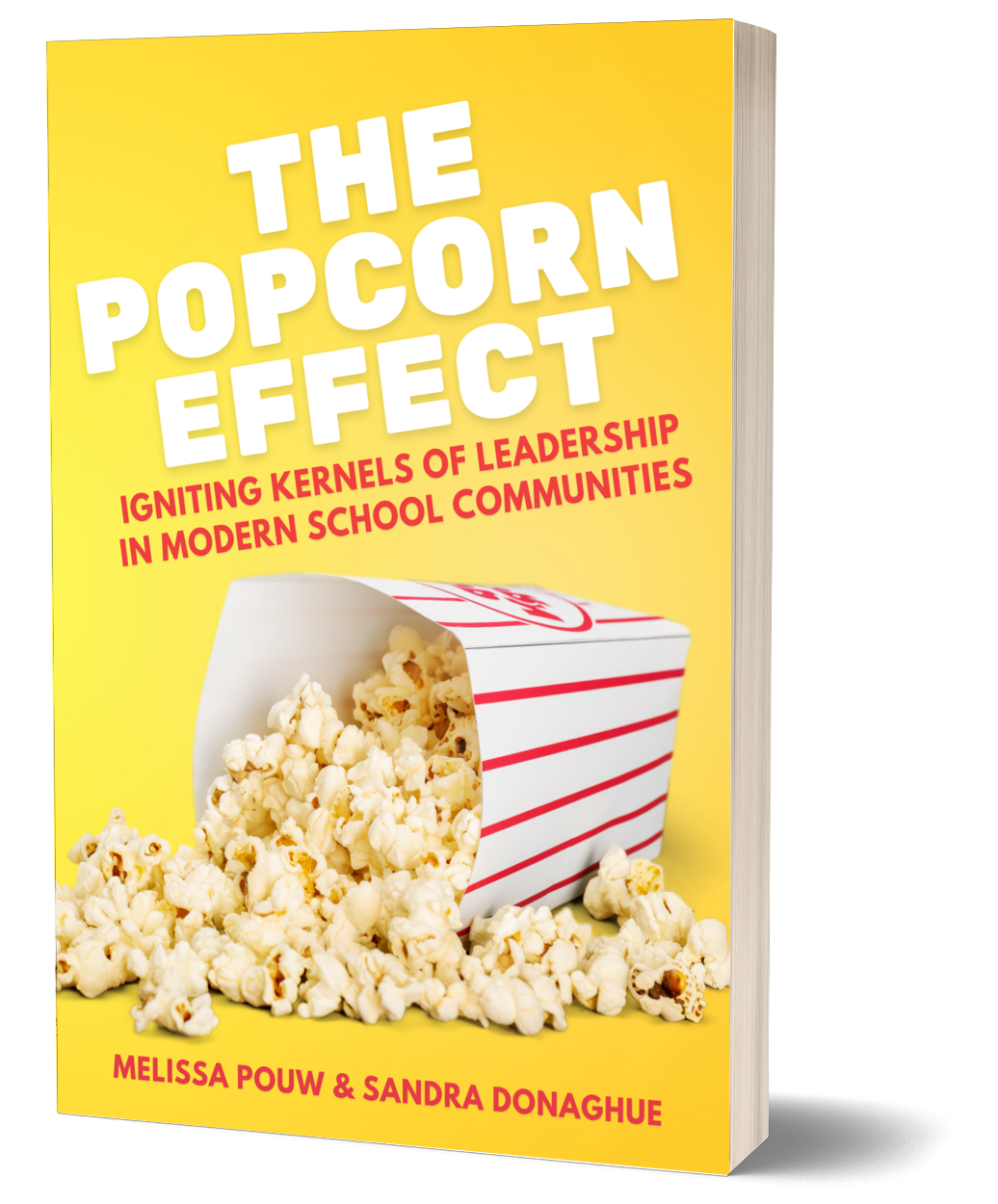 Leadership Series – Code Breaker Inc.